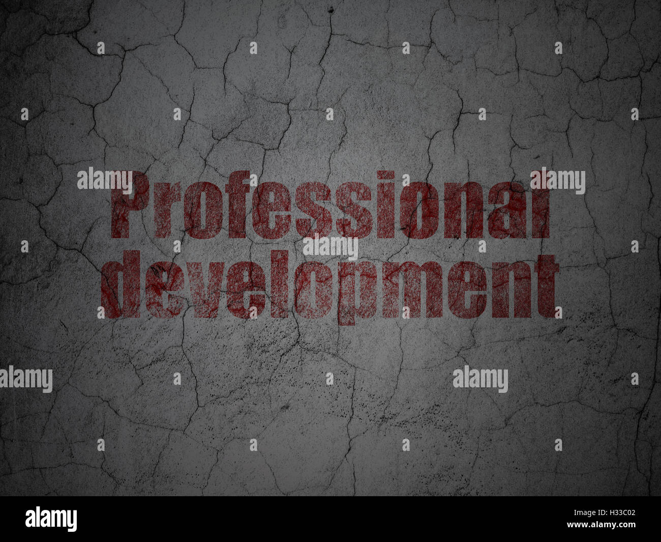 Education concept: Professional Development on grunge wall background ...