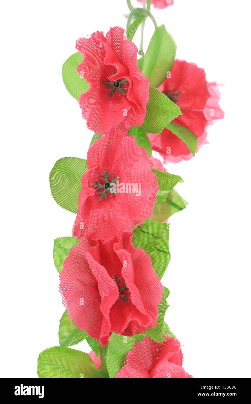 Bluming flowers hi-res stock photography and images - Alamy