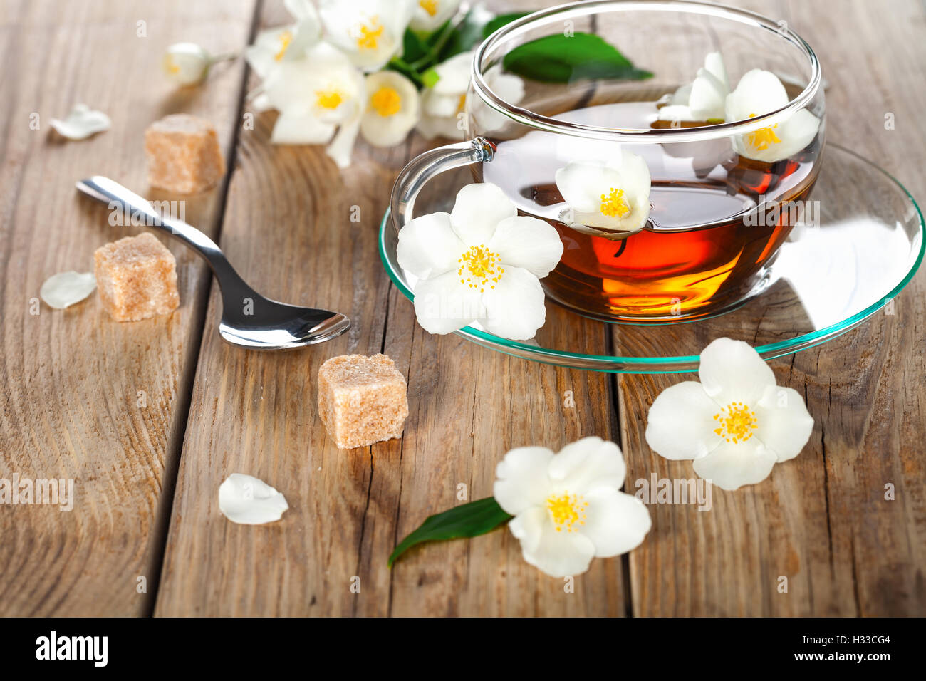 Jasmine tea herb flower hi-res stock photography and images - Alamy
