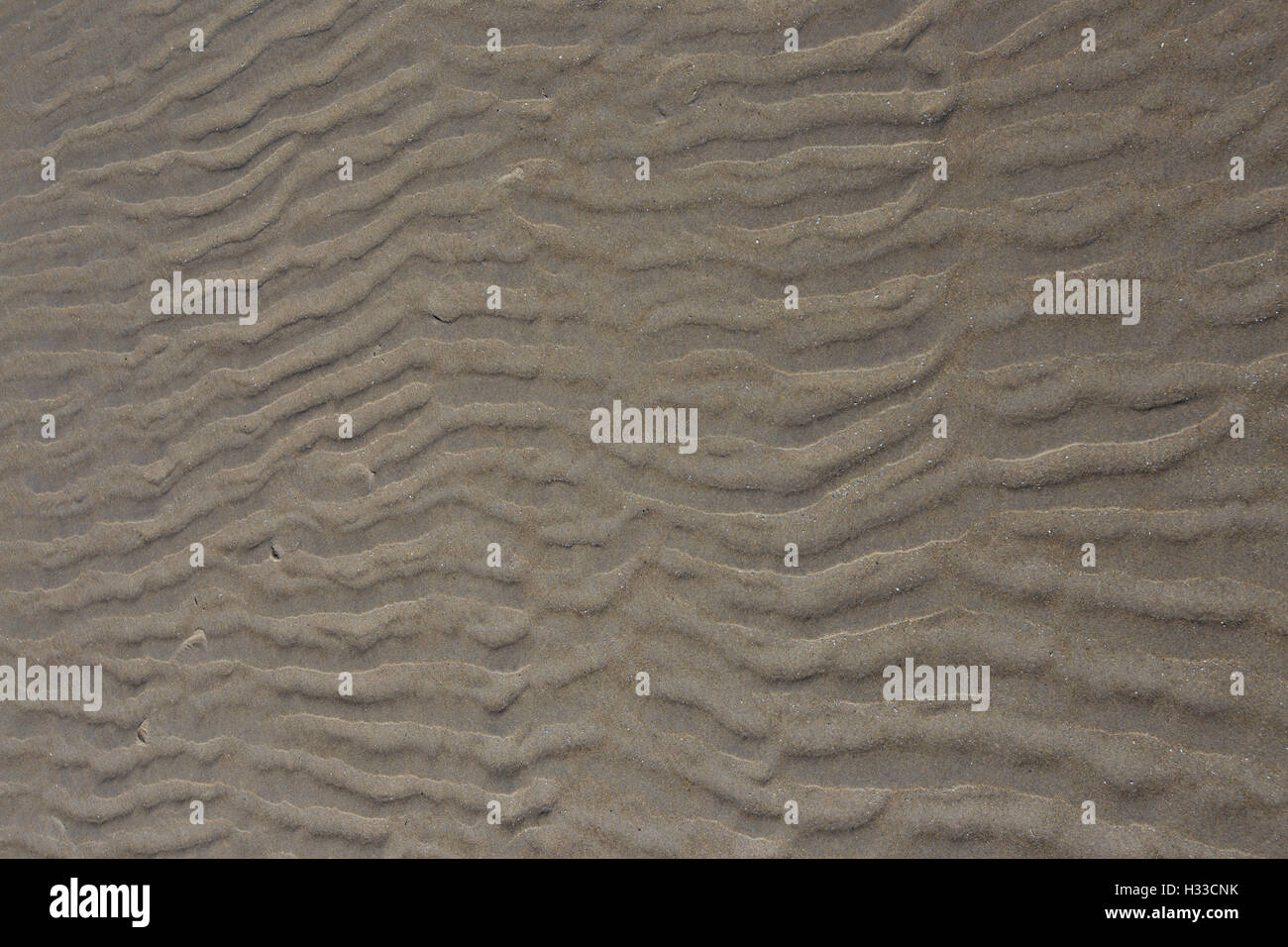 Sand background at Cape Cod, USA Stock Photo - Alamy