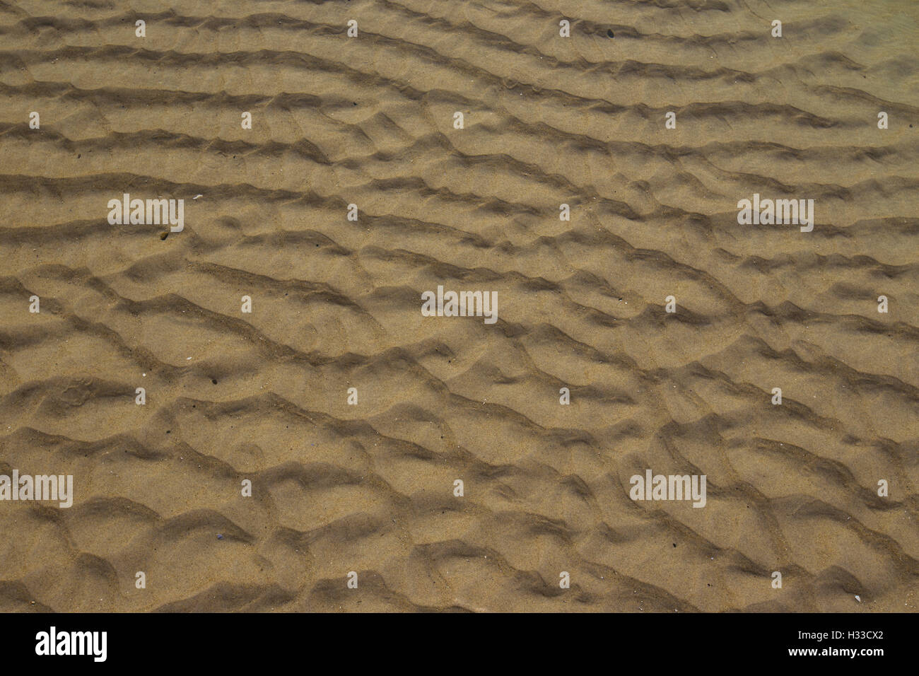 Sand background at Cape Cod, USA Stock Photo - Alamy