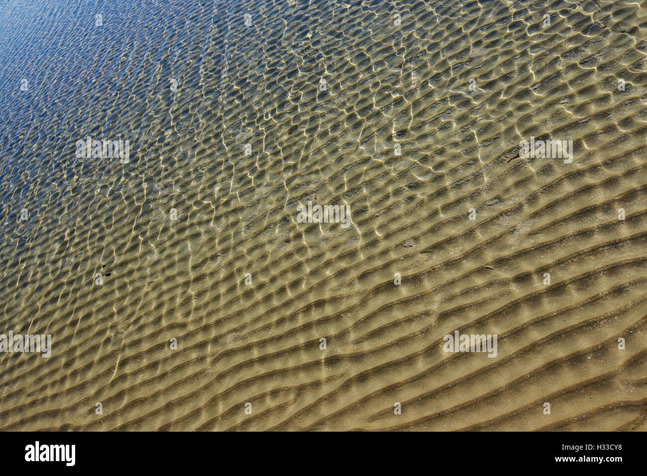 Sand background at Cape Cod, USA Stock Photo - Alamy