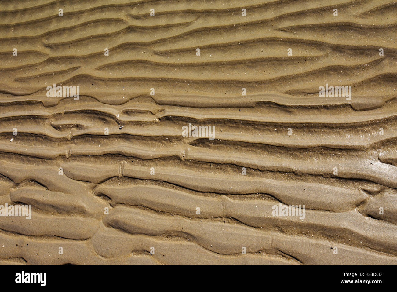 Sand background at Cape Cod, USA Stock Photo - Alamy