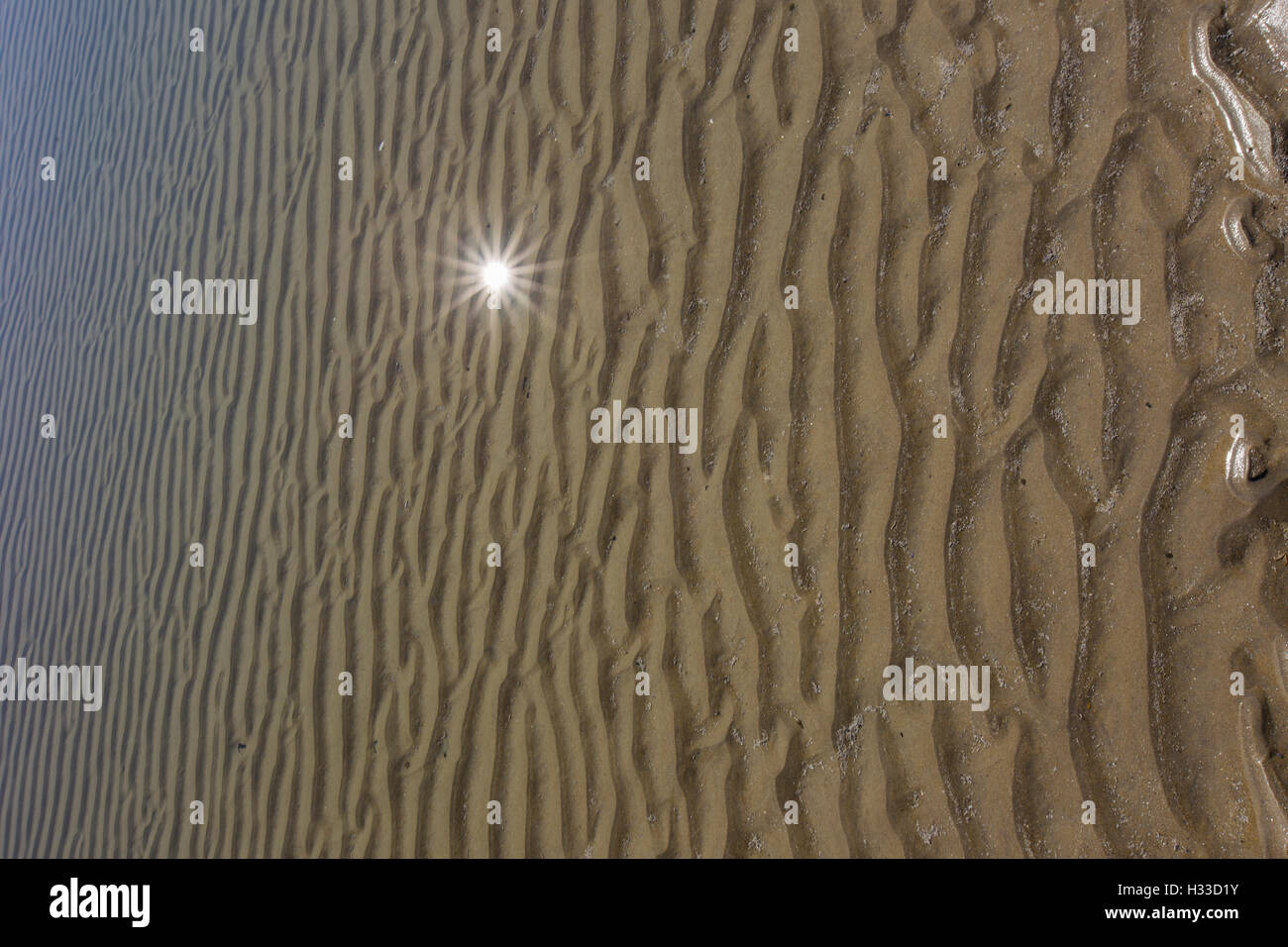Sand background at Cape Cod, USA Stock Photo - Alamy