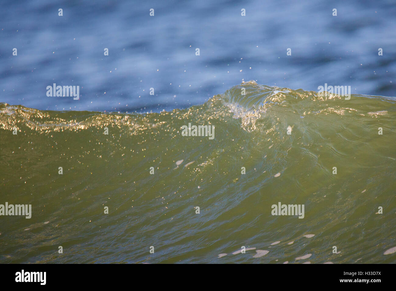 Surfer beach cape cod hi-res stock photography and images - Alamy