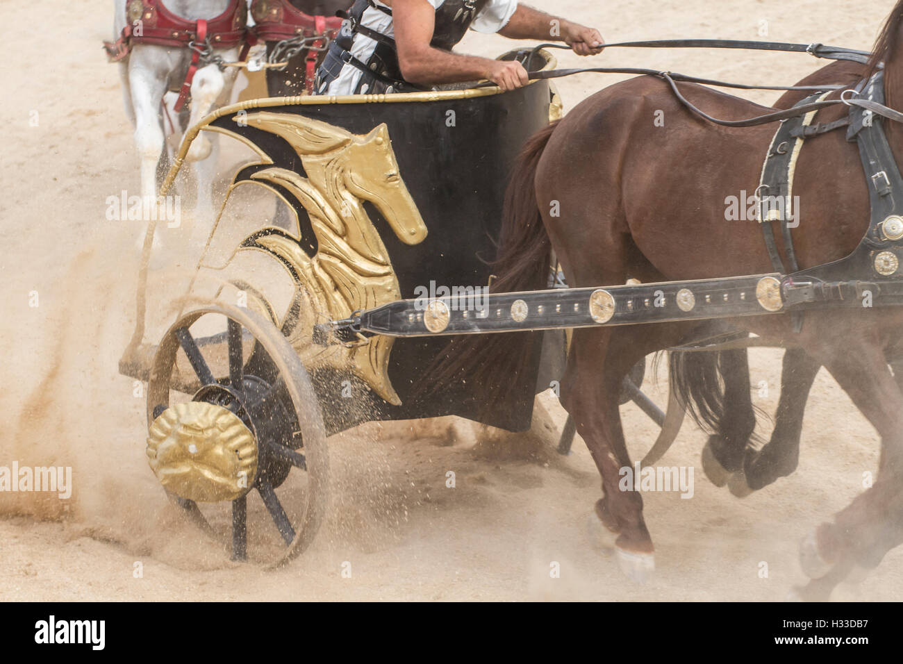 Roman war chariot hi-res stock photography and images - Alamy