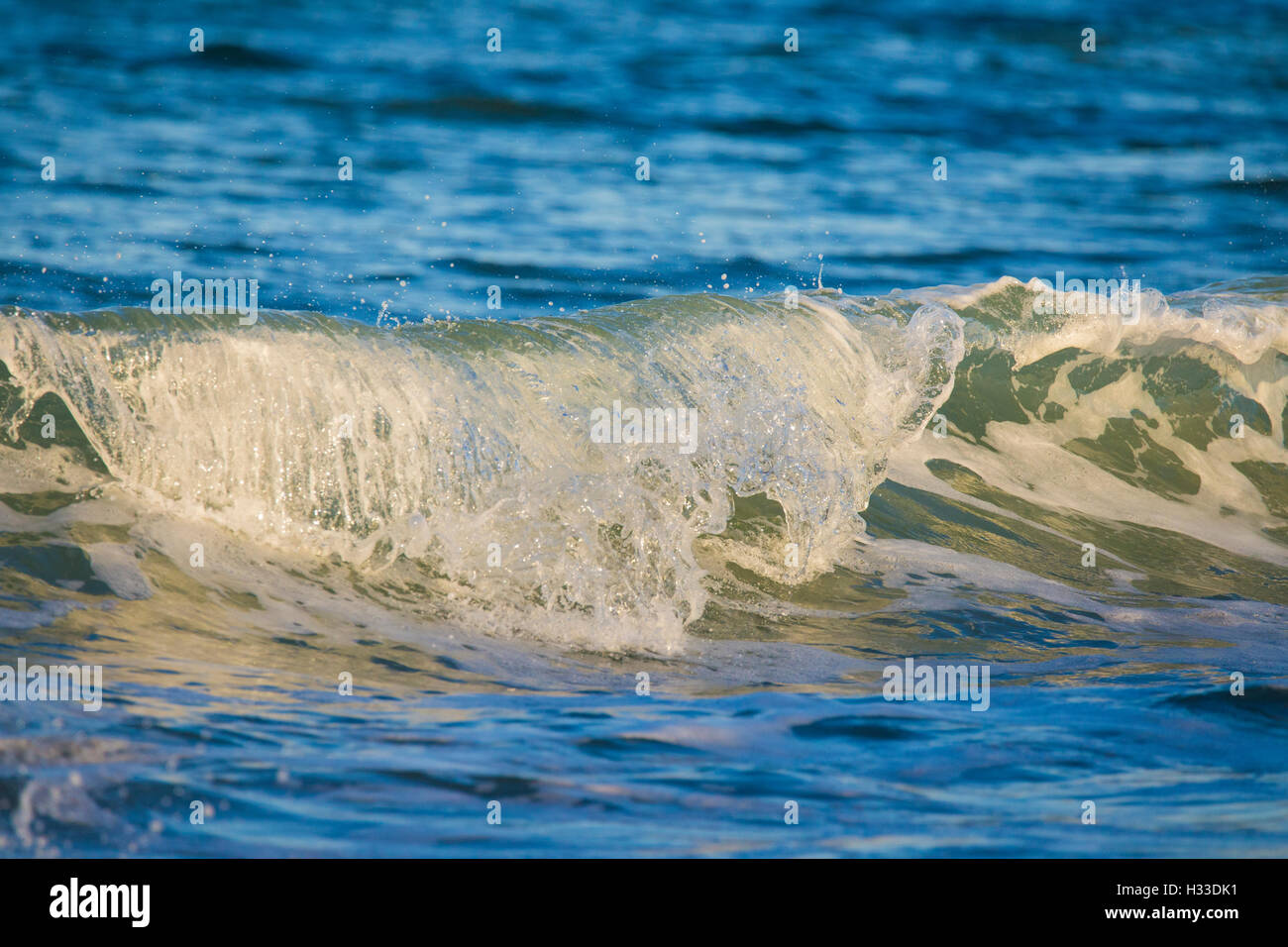 Surfer beach cape cod hi-res stock photography and images - Alamy