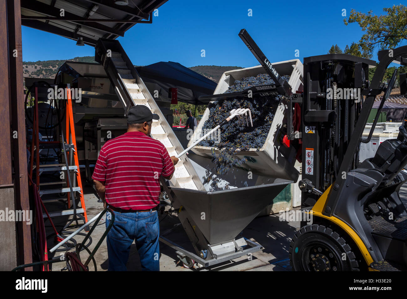 Grape crushing destemmer hi-res stock photography and images - Alamy
