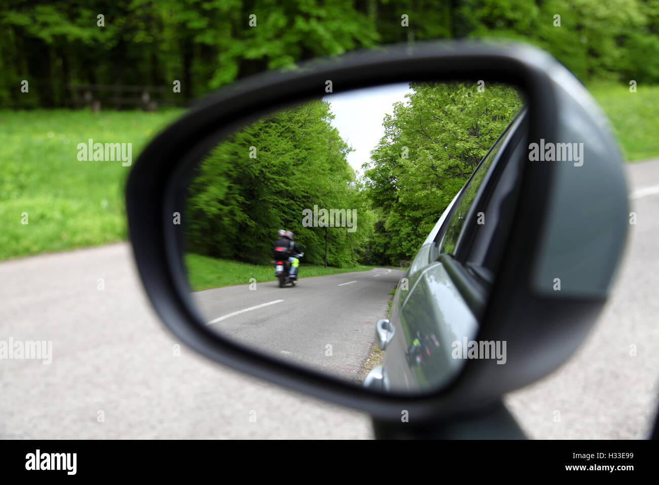 forest road reflection, rearview car driving mirror view green Stock ...