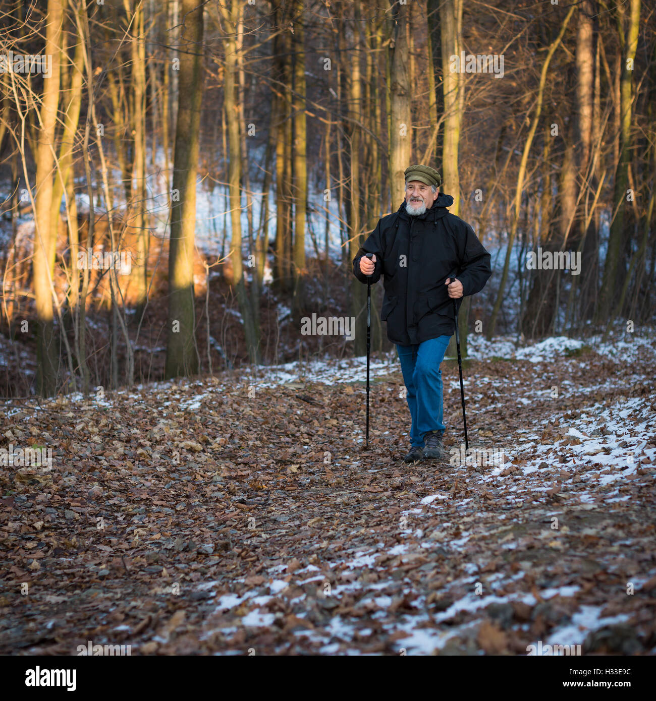 Senior man nordic walking, enjoying the outdoors Stock Photo - Alamy Senior man nordic walking, enjoying the outdoors Stock Photo - Alamy
