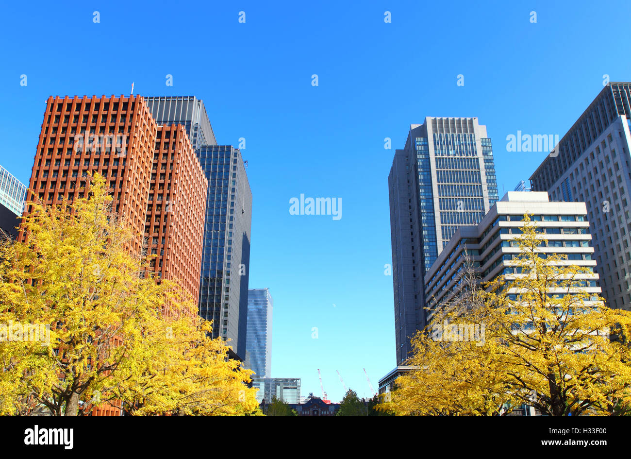 Tokyo fall city hi-res stock photography and images - Alamy