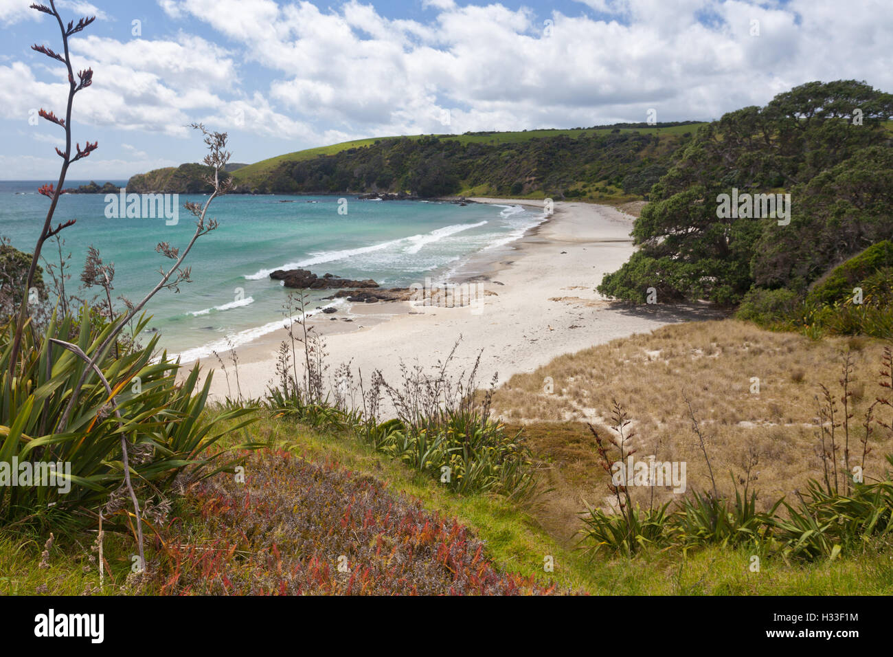 Sand beach landscape with green clear ocean water Stock Photo - Alamy