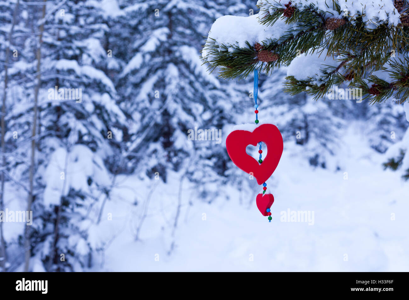 Pine trees snow heart hi-res stock photography and images - Alamy