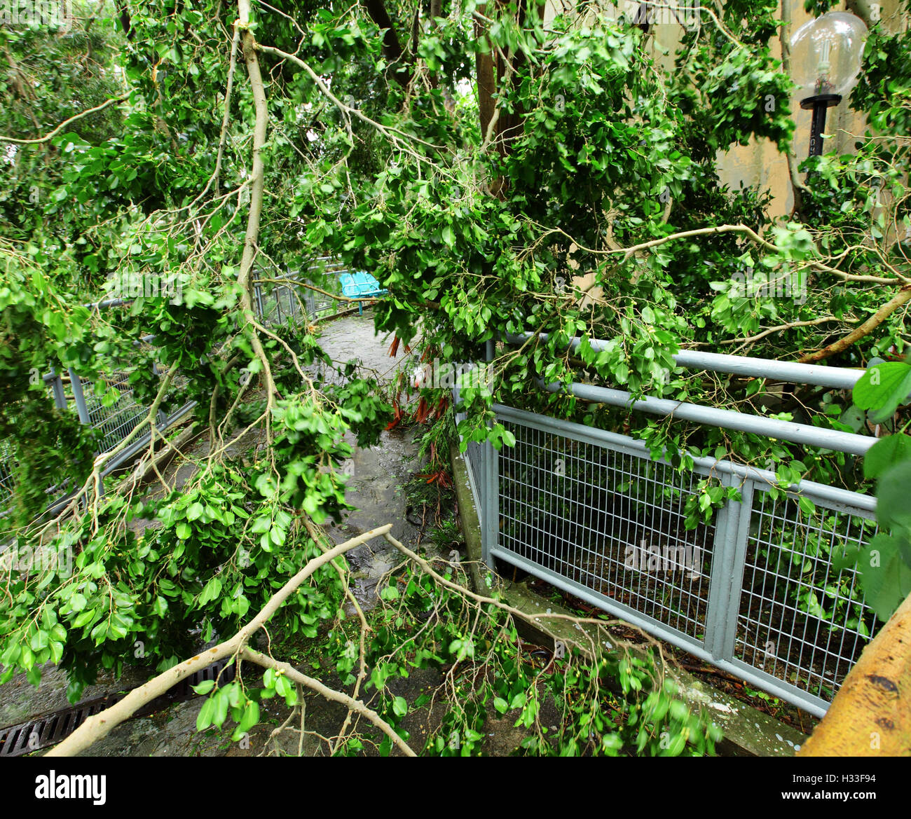 Destroy after typhoon Stock Photo - Alamy