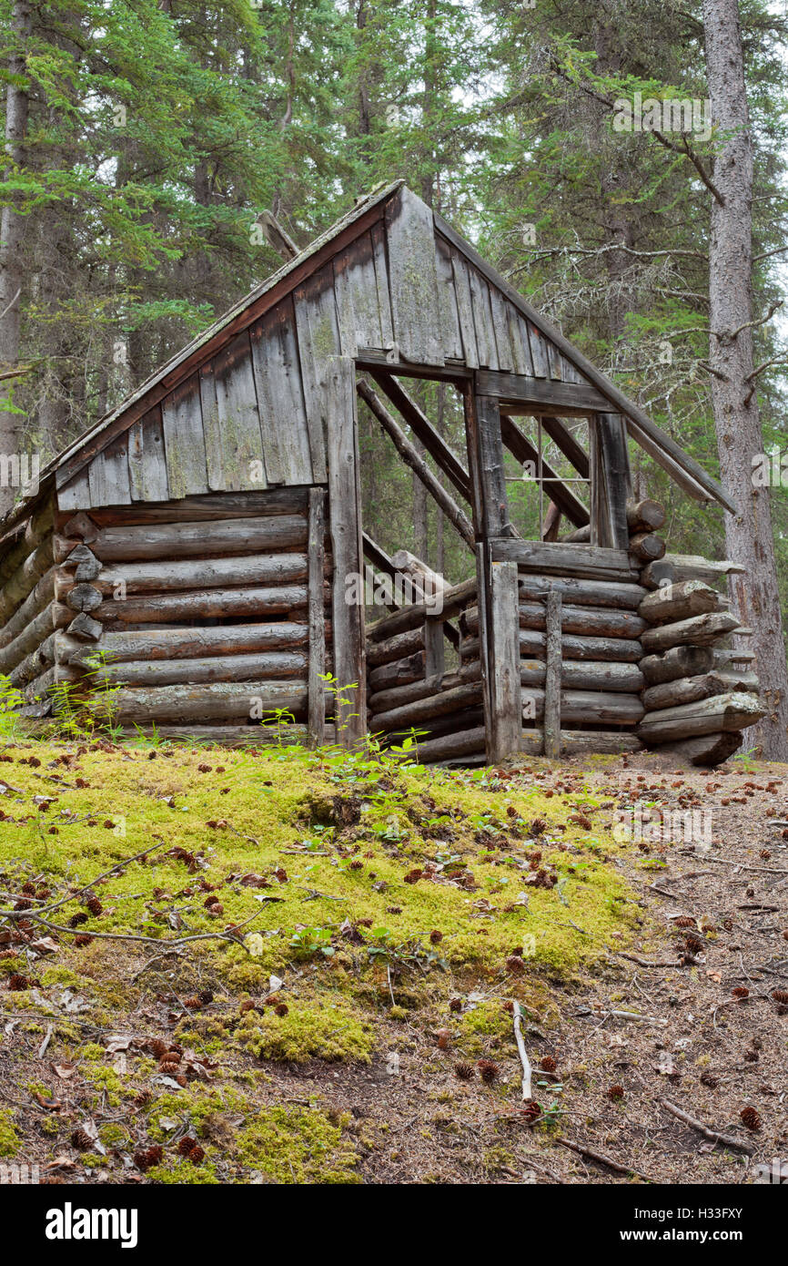 Rotting old traditional Yukon taiga log cabin ruin Stock Photo - Alamy