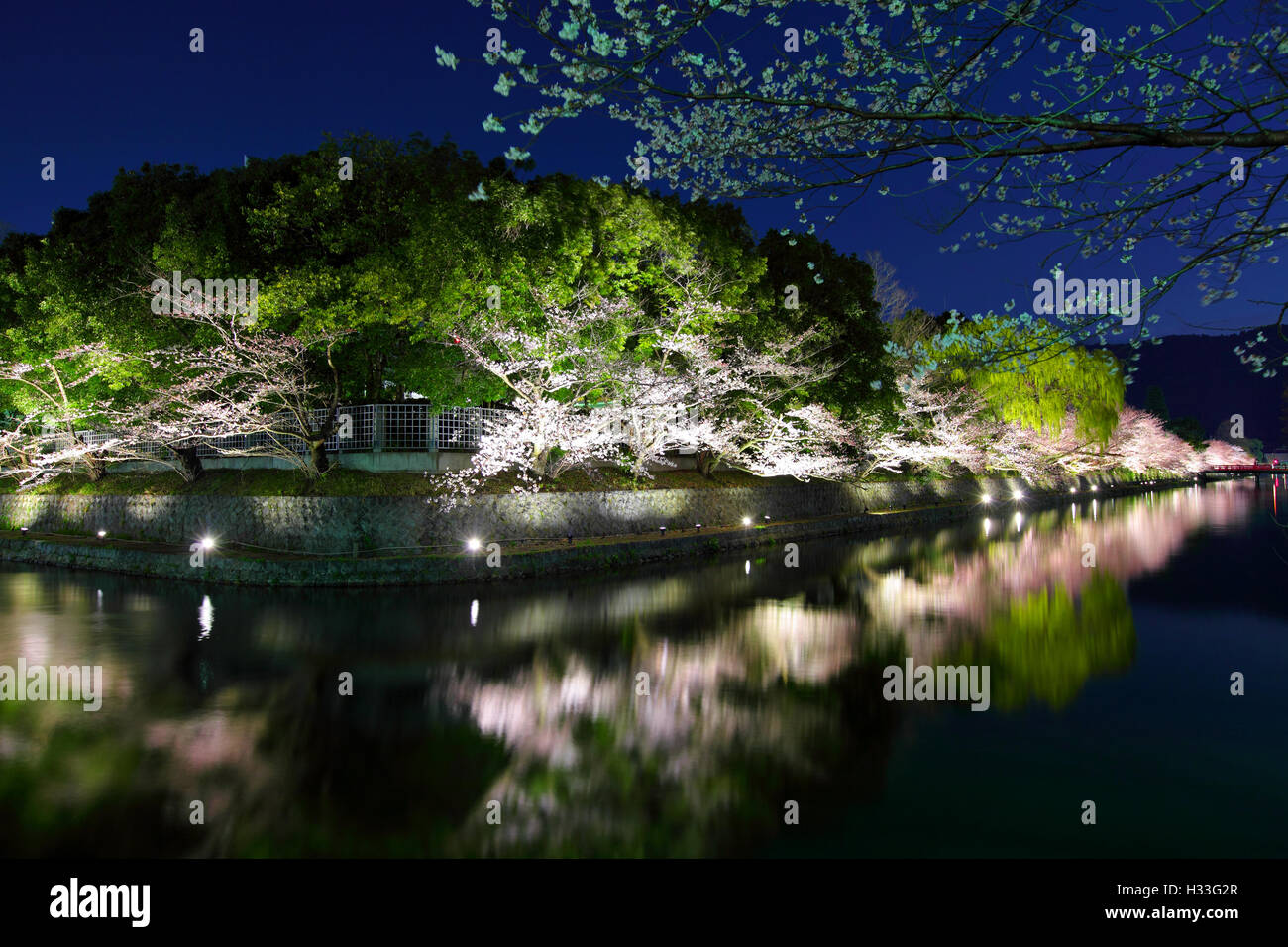 Biwa lake canal with sakura tree Stock Photo - Alamy