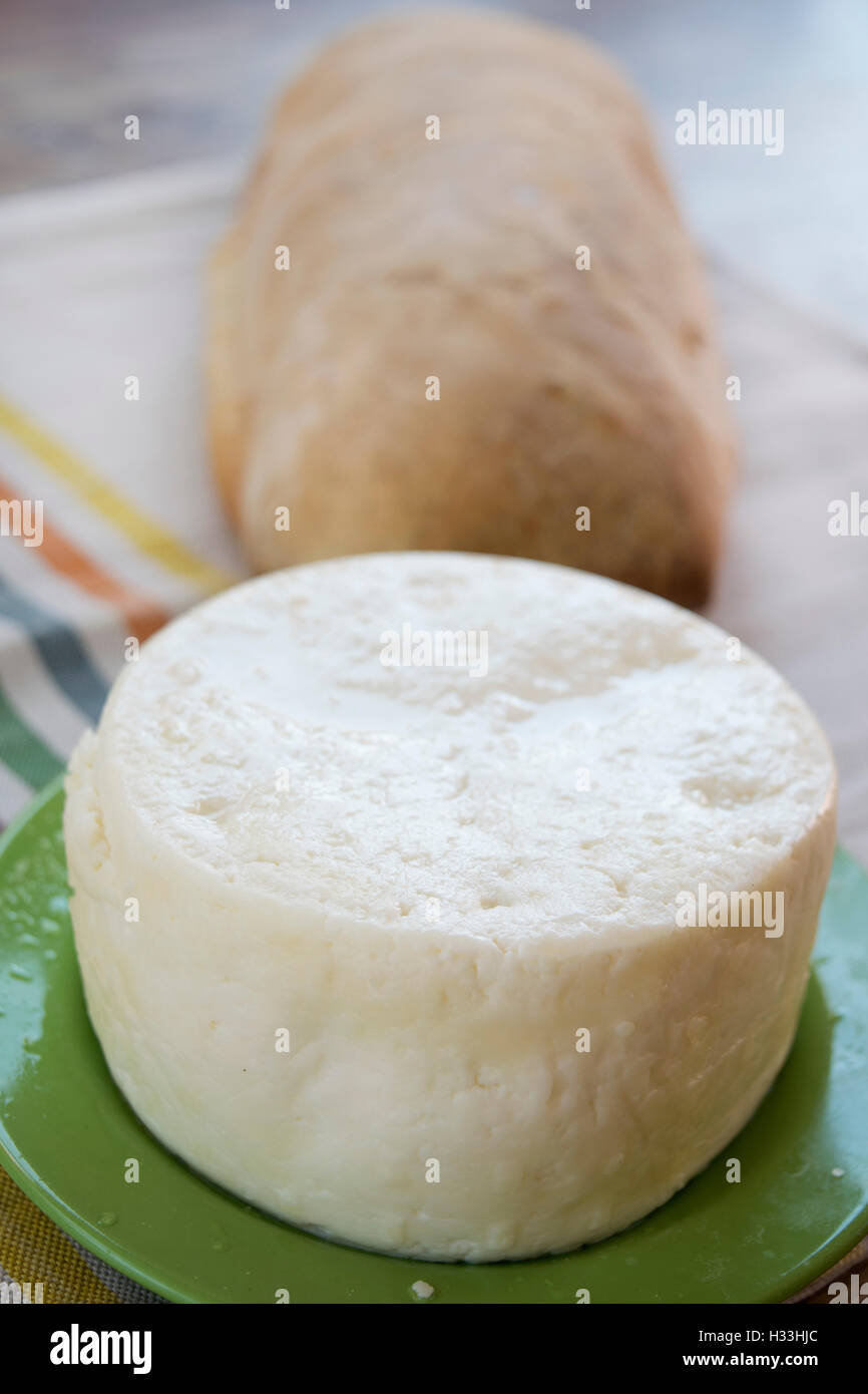 fresh ewe's milk cheese called pecorino cheese made directly from the ...