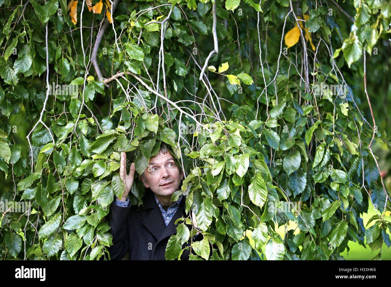 Dr max hi-res stock photography and images - Alamy