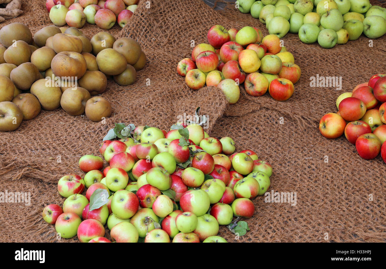Apple seller hi-res stock photography and images - Alamy