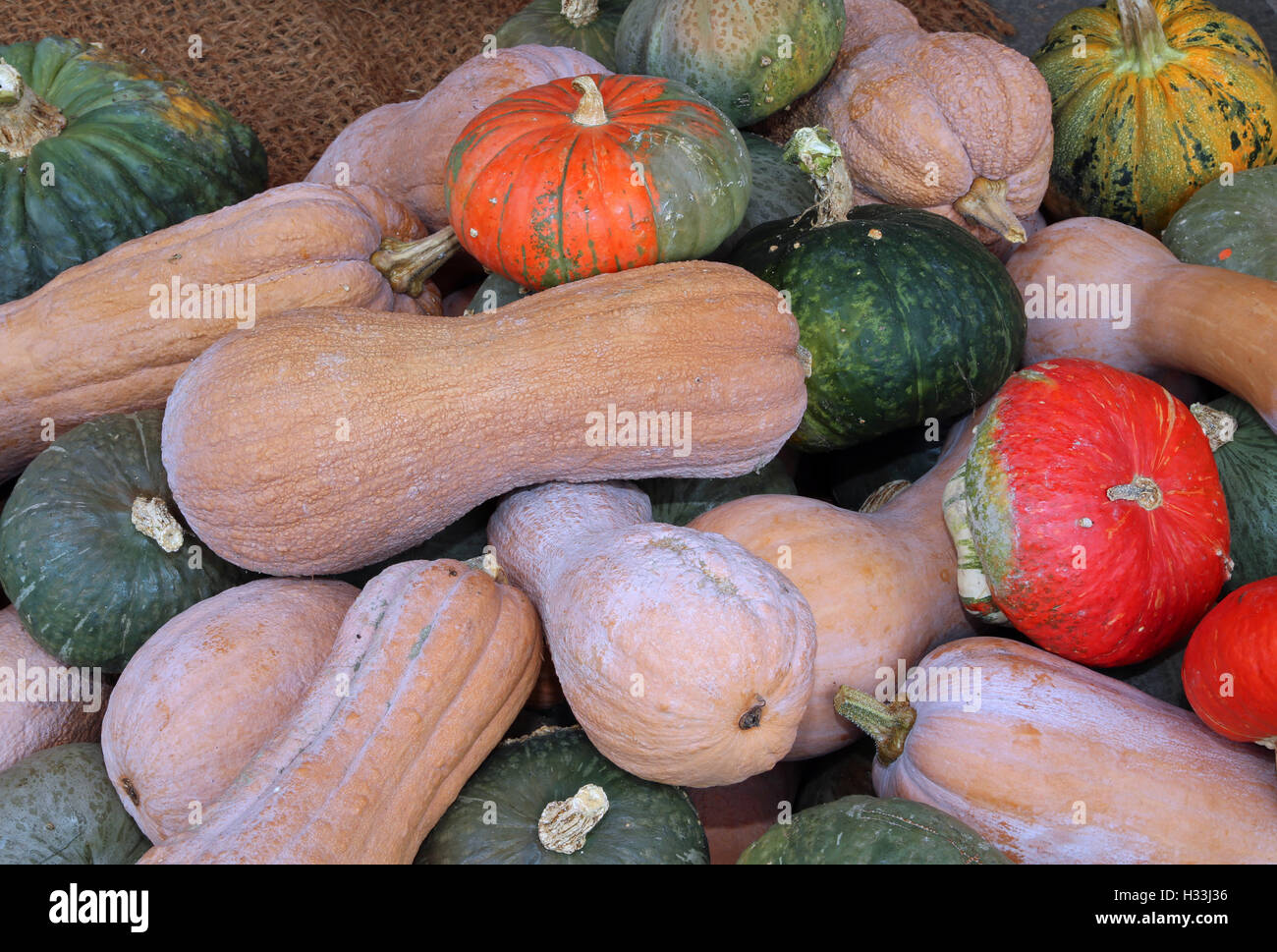 Many small gourds hi-res stock photography and images - Alamy
