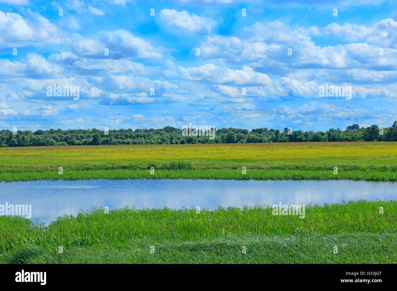 beautiful summer landscape with lake field and clouds. Nature with ...