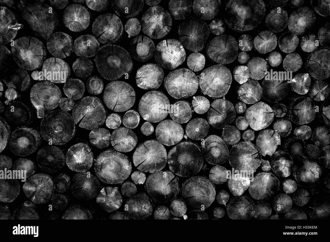 Logs burning Black and White Stock Photos & Images - Alamy