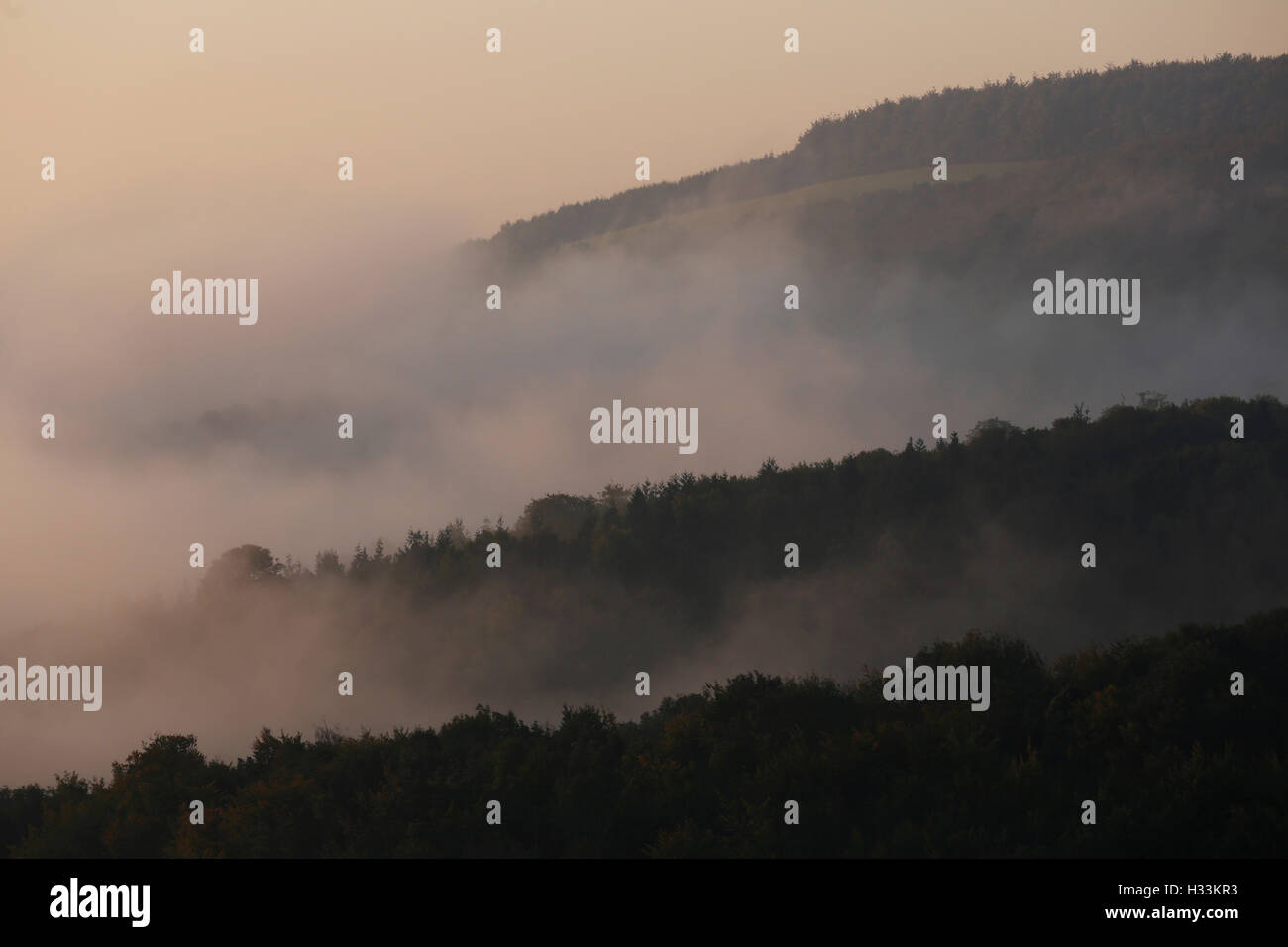 The rising sun causes a pink glow through mist over the South Downs ...