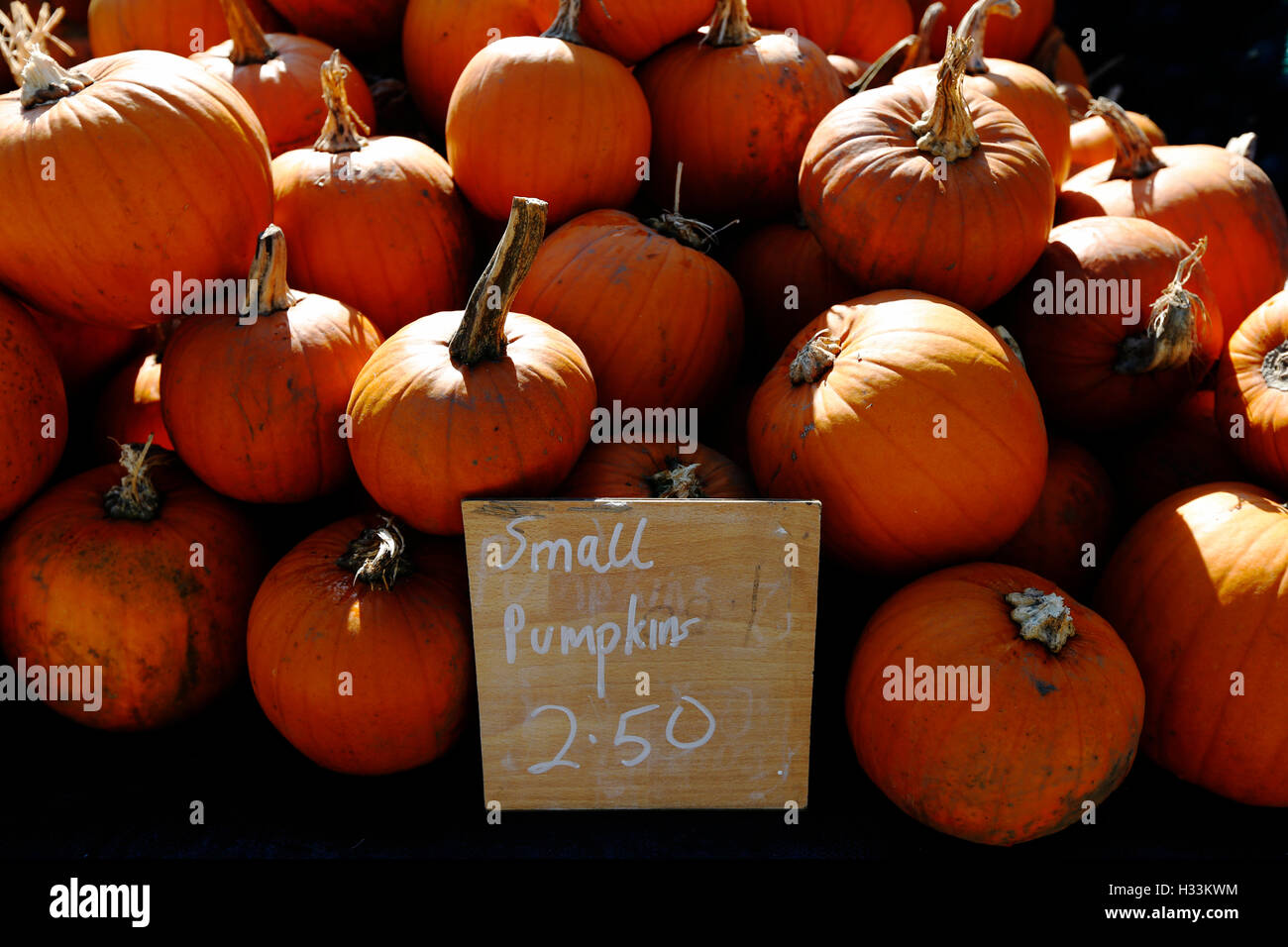 Pumpkins are marked for sale at the Slindon Pumpkin Festival for ...
