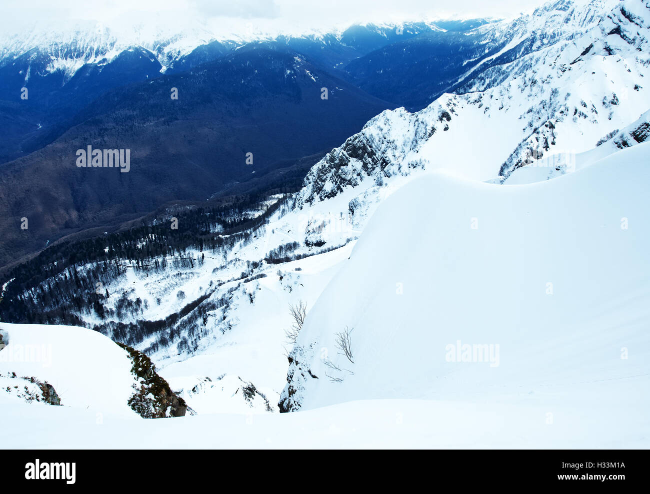 High risk forest area hi-res stock photography and images - Alamy