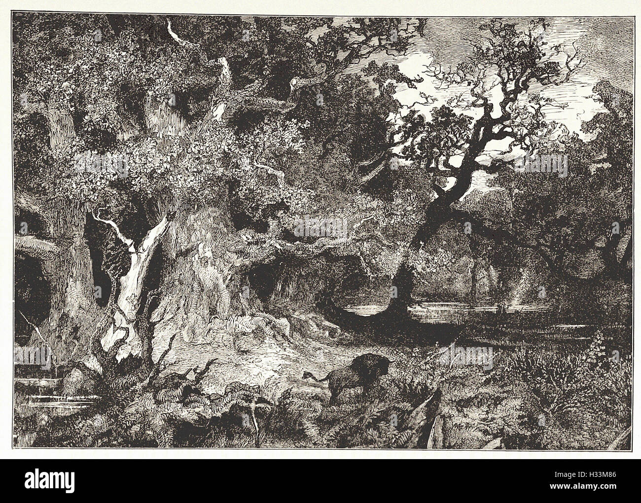 AN OLD GERMAN FOREST - from 'Cassell's Illustrated Universal History ...