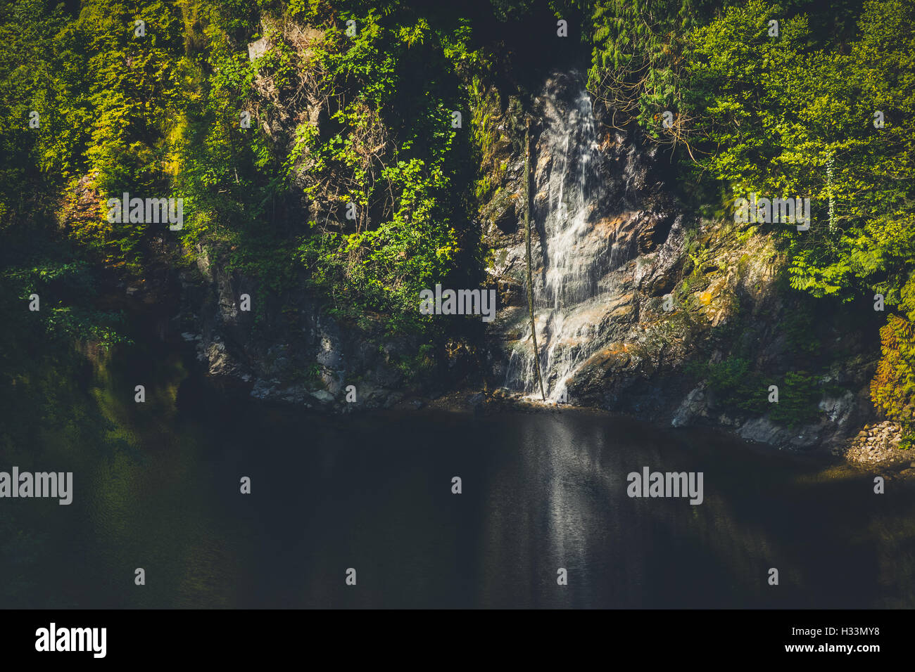 A little waterfall off the Capilano River Stock Photo - Alamy