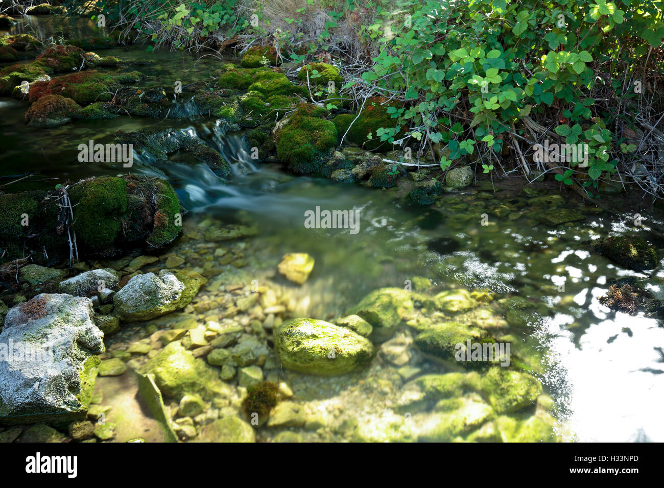 Wood River in summer, passing by the munipal term of Paterna del Madera ...
