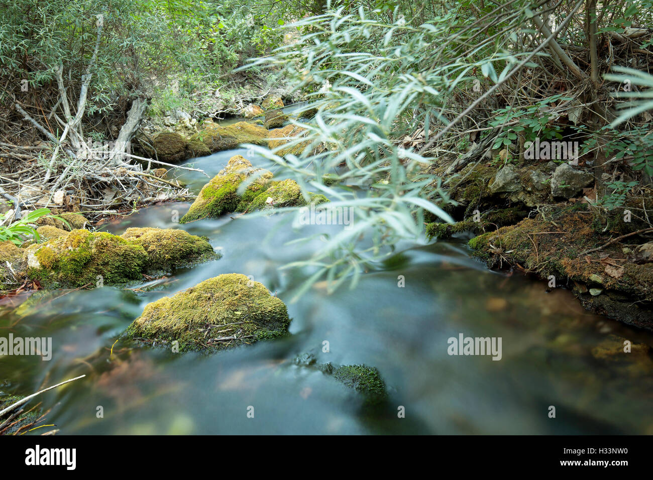 Wood River in summer, passing by the munipal term of Paterna del Madera ...
