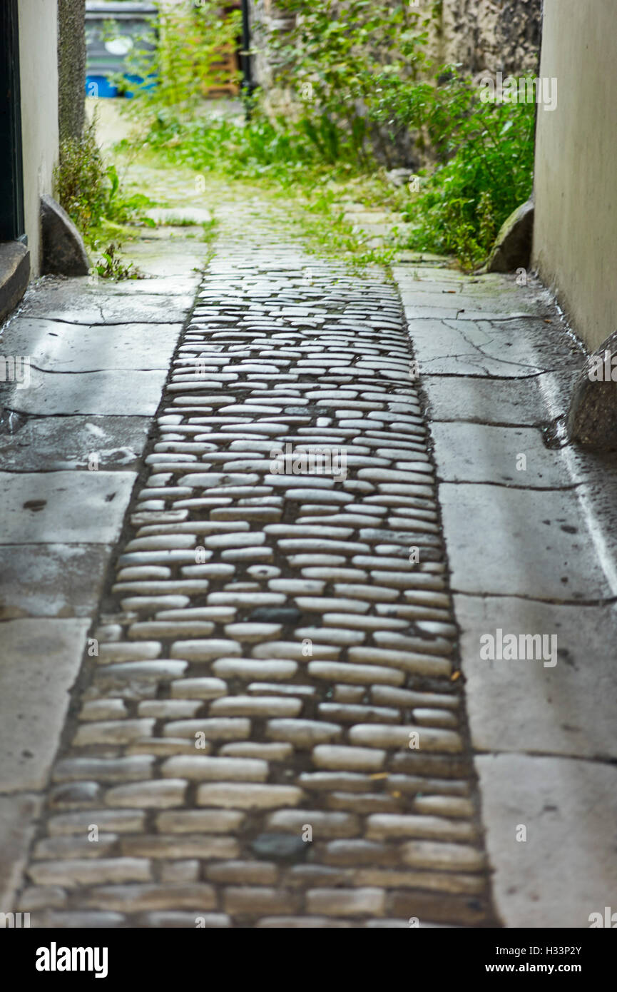 Paved cobbled alley hi-res stock photography and images - Alamy