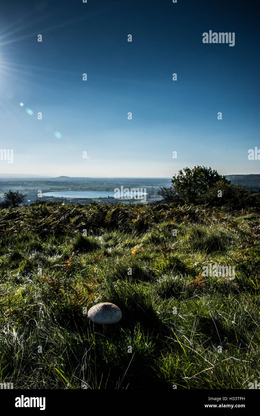 View of Cheddar and Cheddar reservoir from the top of Cheddar Gorge ...