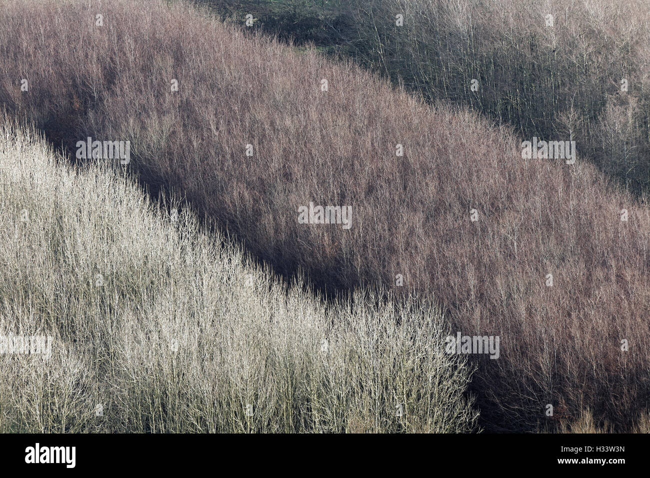 Delabole village hi-res stock photography and images - Alamy