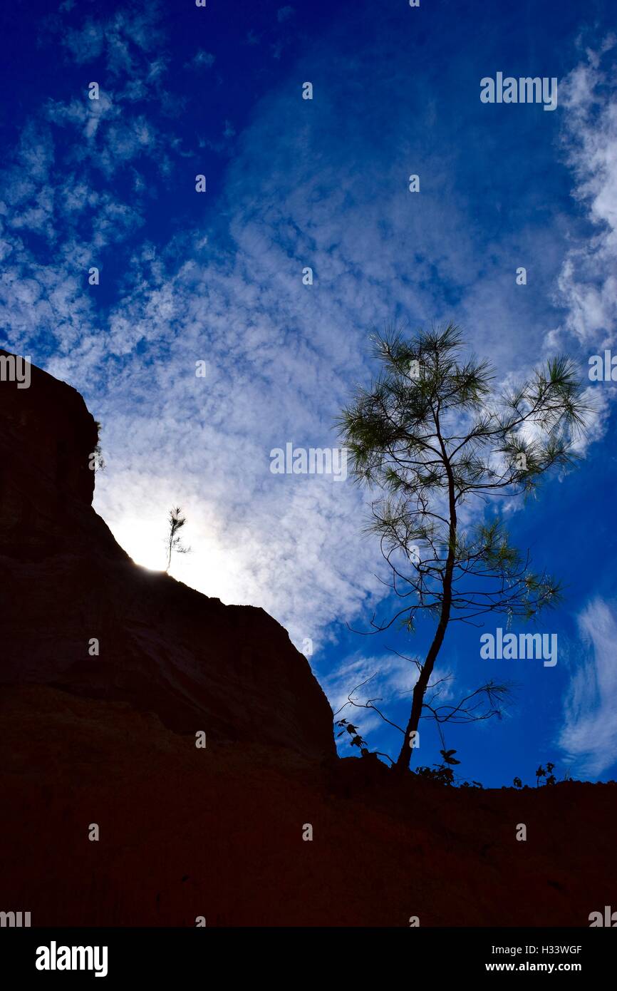 Red Clay- Providence Canyon in South Georgia Stock Photo - Alamy