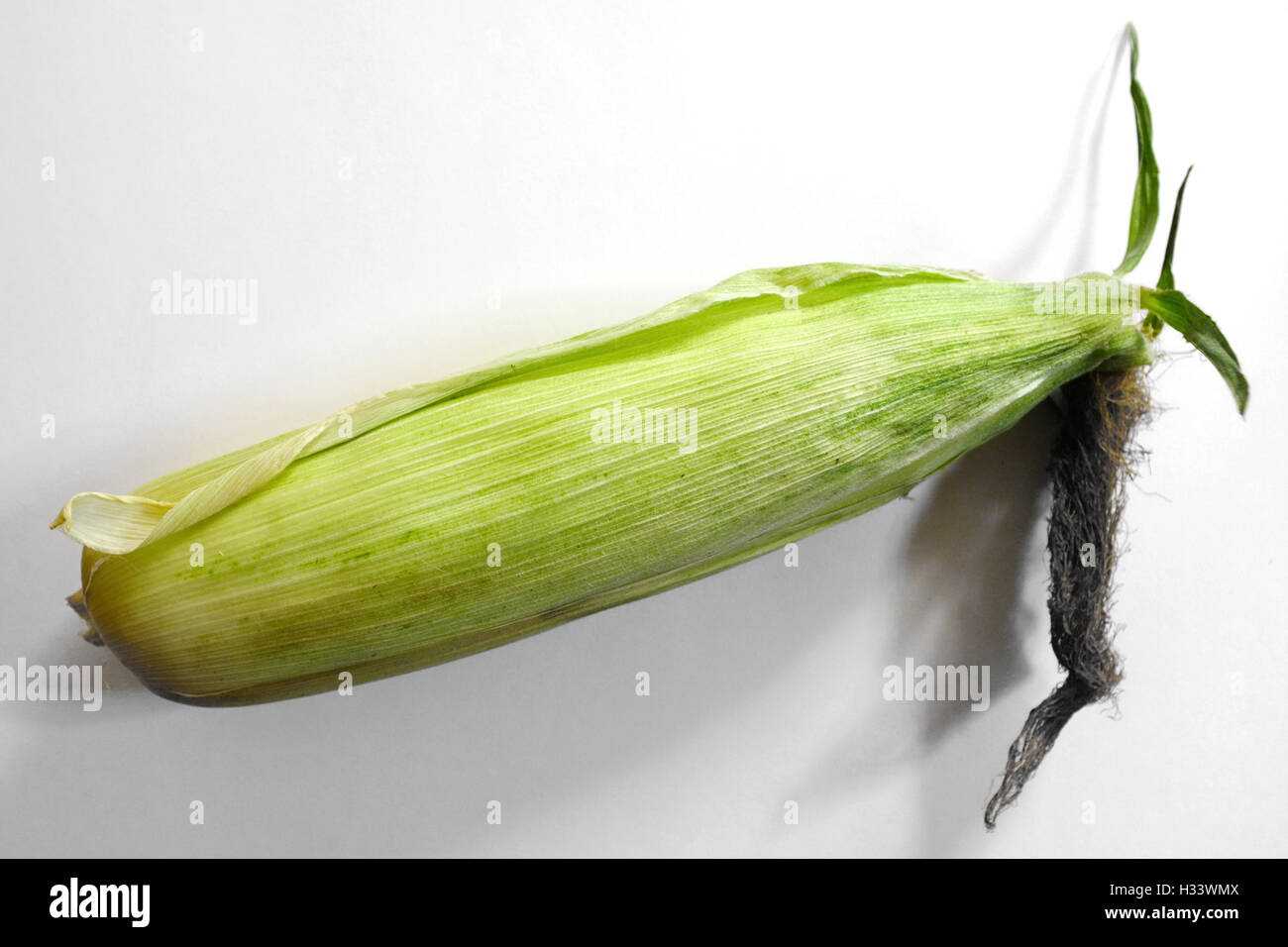 Sheaf of corn hi-res stock photography and images - Alamy
