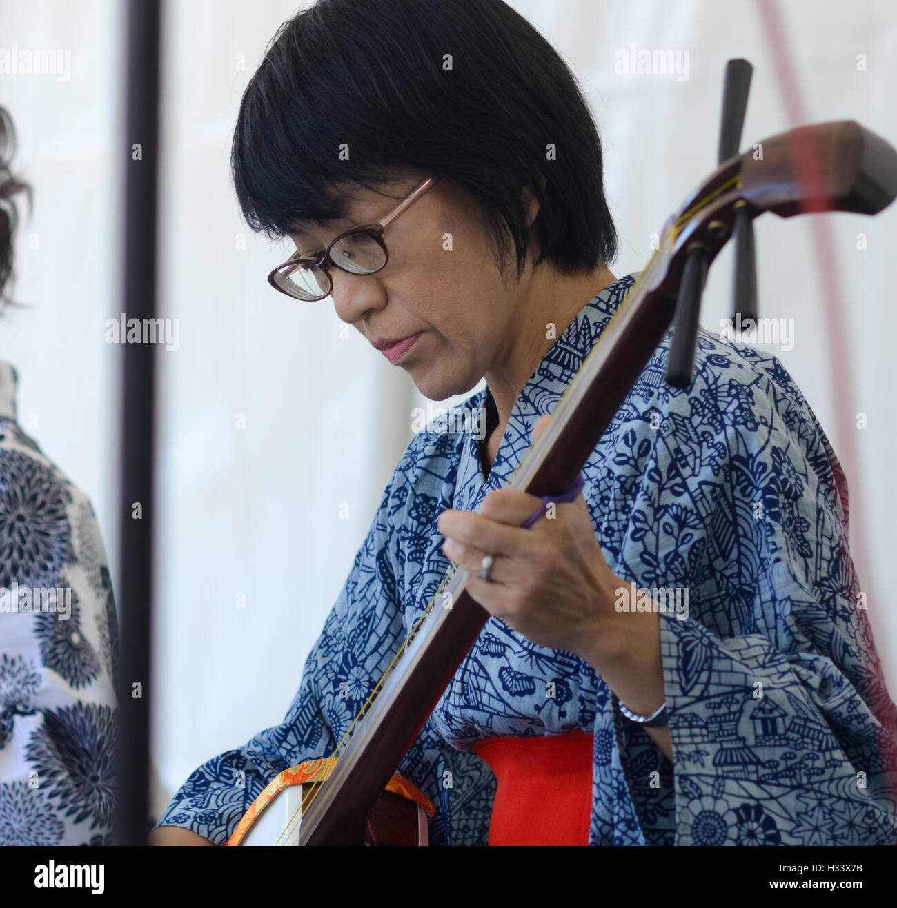 A musician of Rocky Mountain Sankyoku plays a Shamisen Stock Photo - Alamy