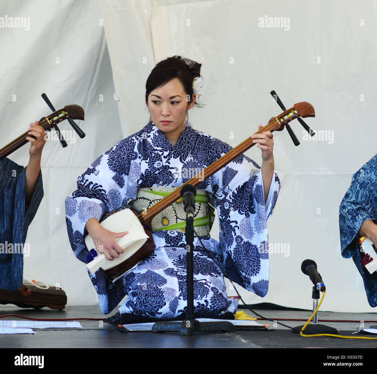 A member of Rocky Mountain Sankyoku plays a Shamisen Stock Photo - Alamy