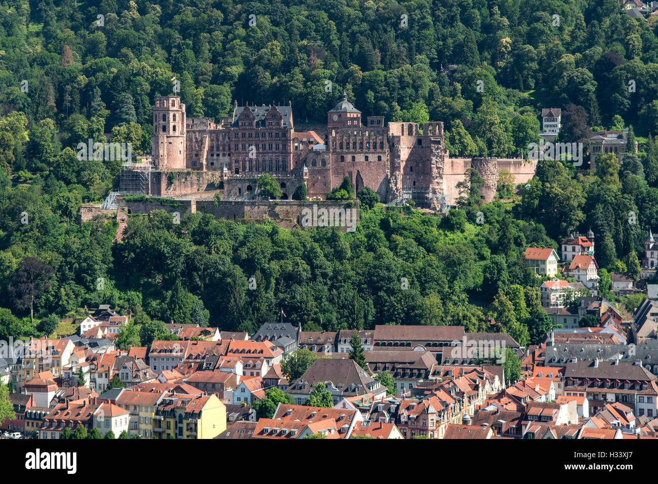 Schloss Heidelberg from Philosophers' Walk, Heidelberg, Baden ...