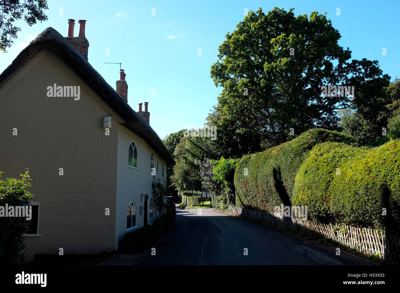Ye olde yew tree inn hi-res stock photography and images - Alamy