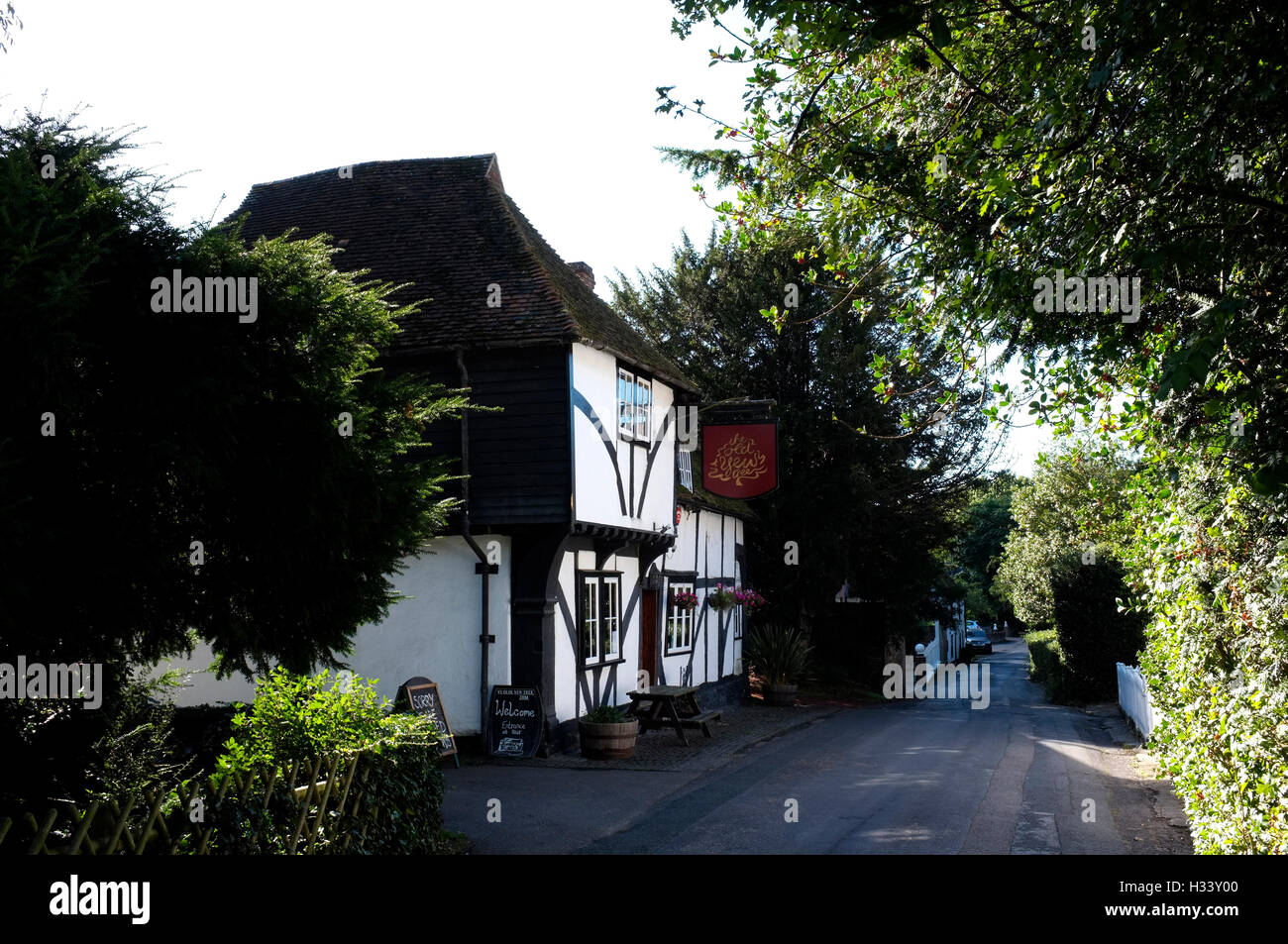 Ye olde yew tree inn hi-res stock photography and images - Alamy