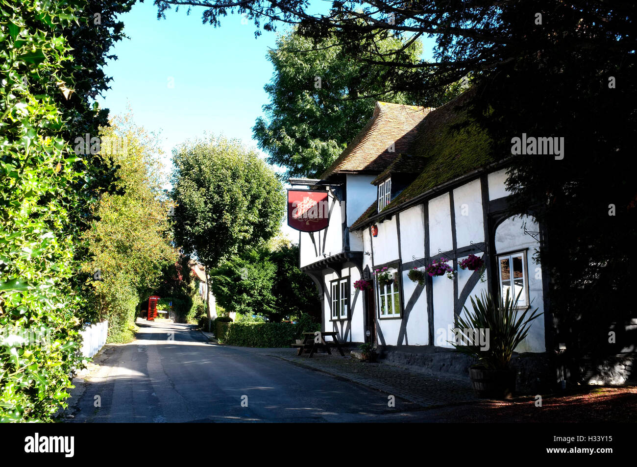 Ye olde yew tree inn hi-res stock photography and images - Alamy