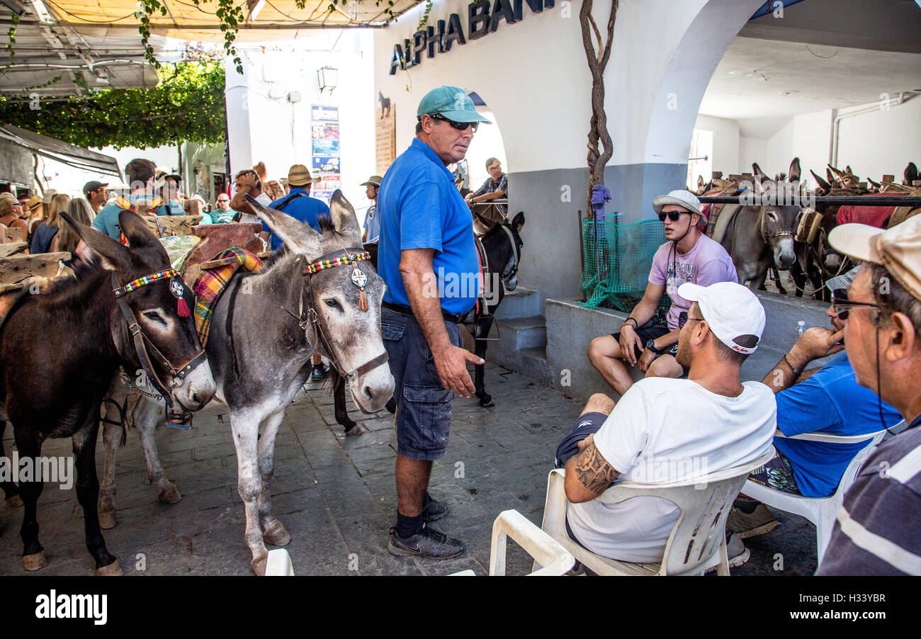 Donkey Men Lindos Rhodes Greece Stock Photo - Alamy