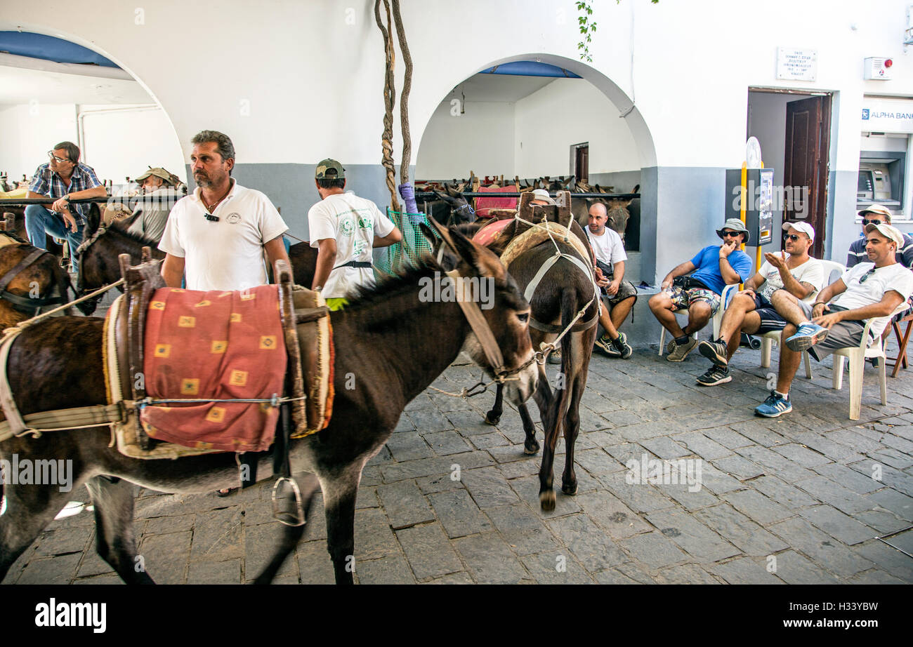 Man riding donkey greece hi-res stock photography and images - Alamy