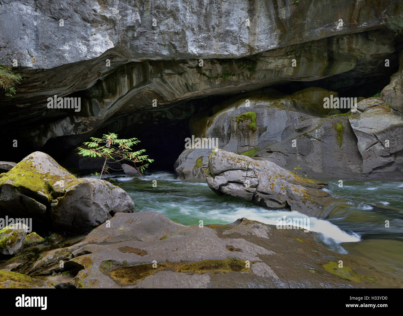 Huson Caves, Vancouver Island, British Columbia, Canada Stock Photo - Alamy