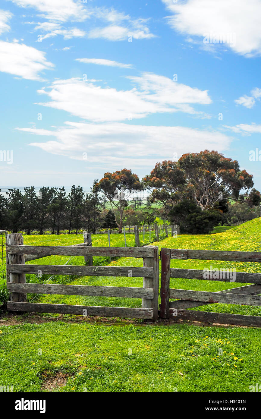 Australian outback fence hi-res stock photography and images - Alamy