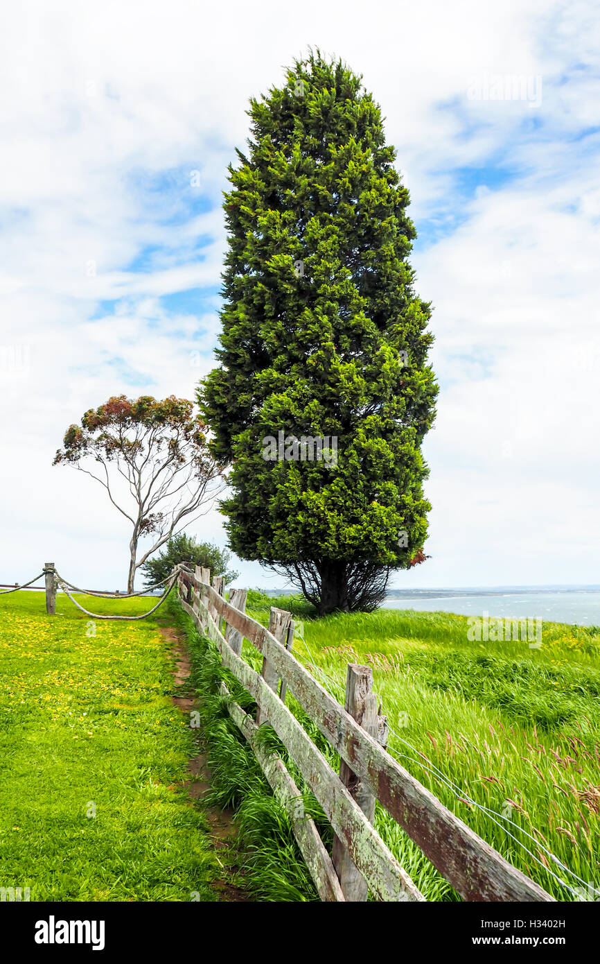 Yard farmyard hi-res stock photography and images - Alamy
