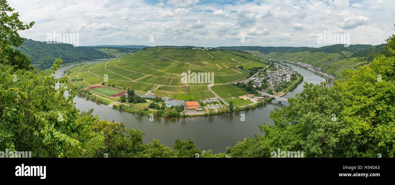 Zeller Hamm of Mosel River Panorama, Zell, Rhineland Palatinate ...